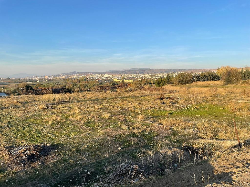 En Gestión de banco en La Zubia en venta, 00508919 - Altamira Inmuebles En Gestión de banco en La Zubia en venta, 00508919 - Altamira Inmuebles